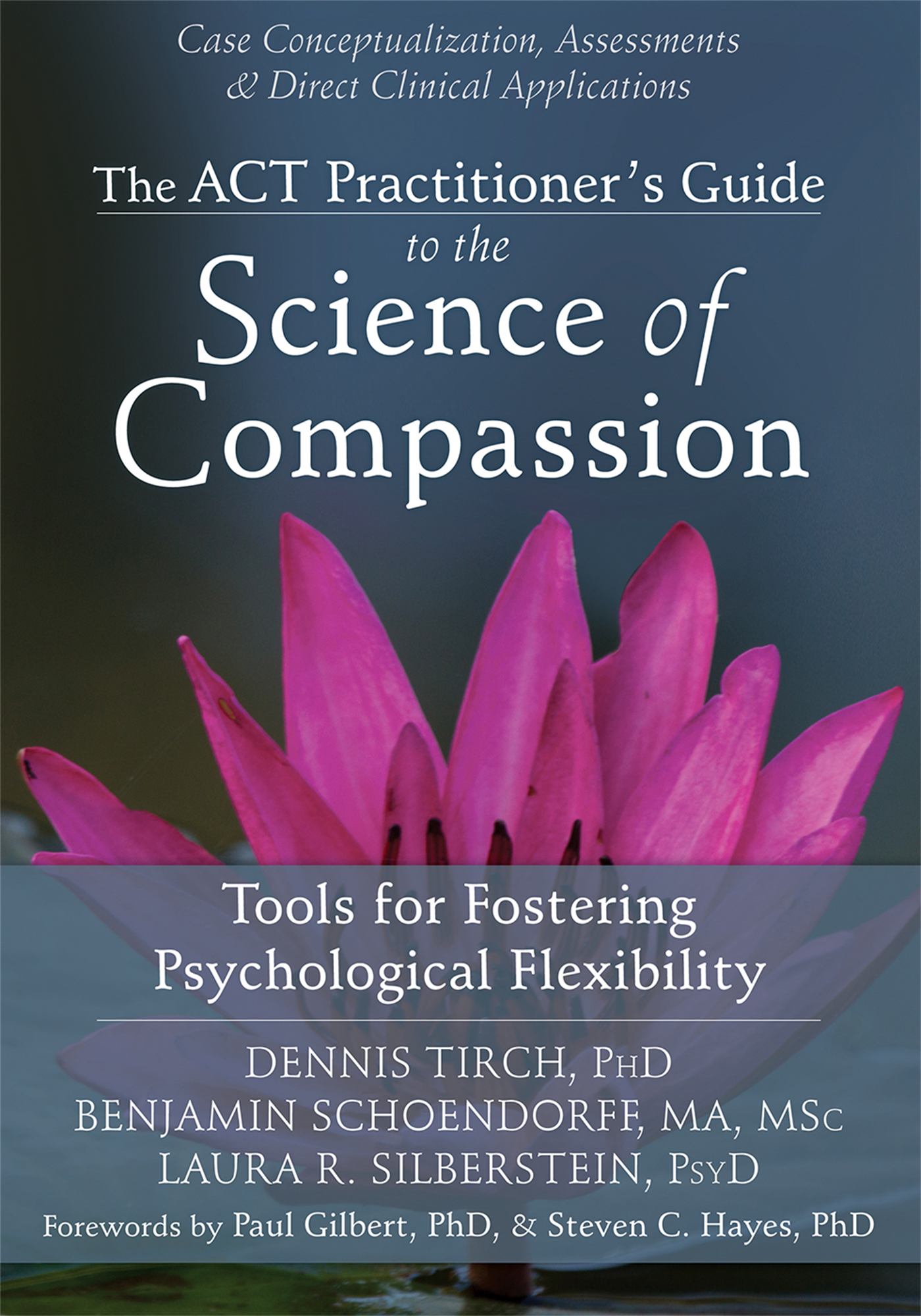 ACT Practitioner's Guide to the Science of Compassion Tools for ...